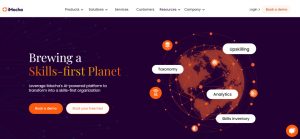 Top 12 Competency Assessment Tools to Streamline Hiring in 2025 ...